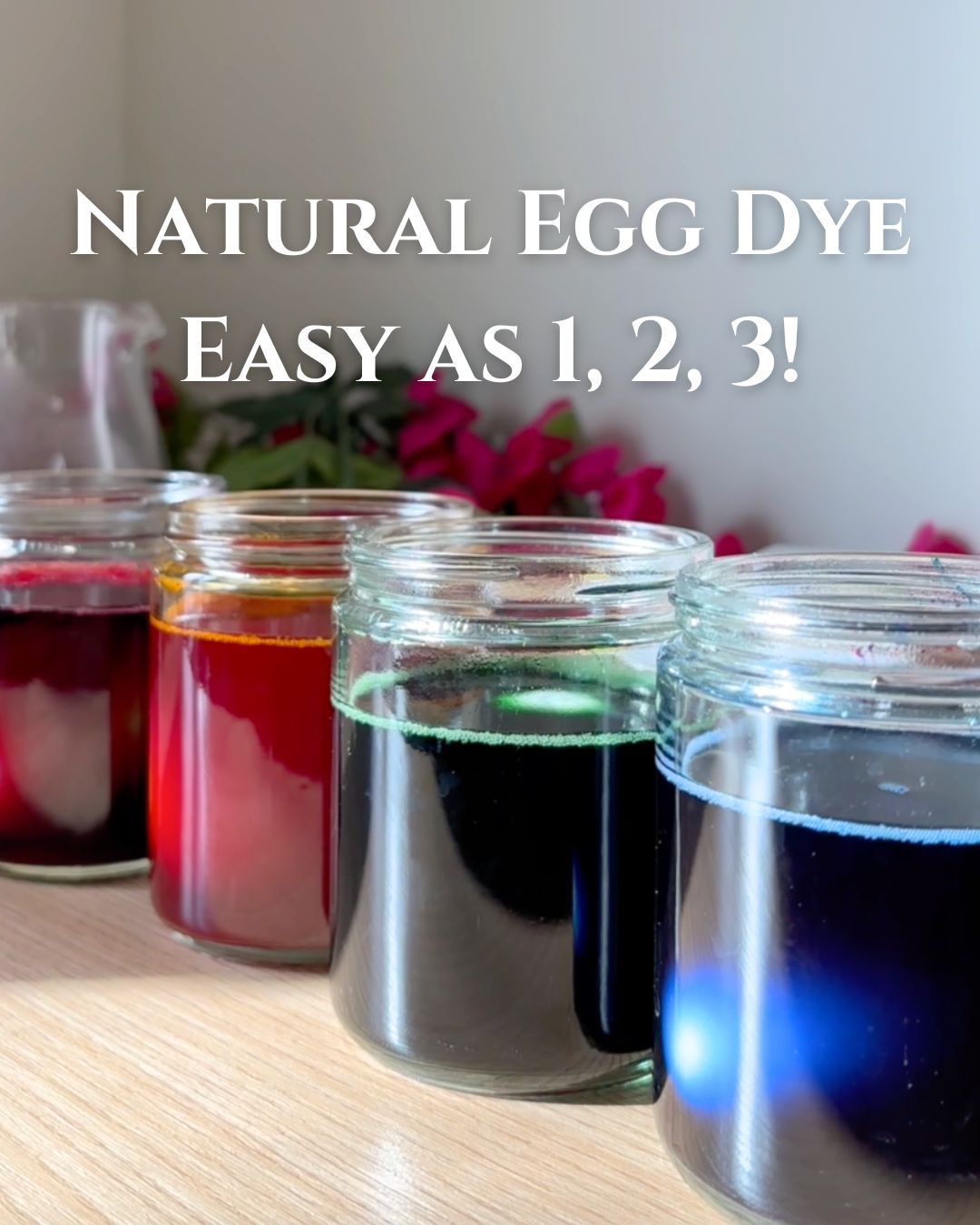 🥚 Natural Egg Dye - Easy as 1, 2, 3! – Natural Earth Paint